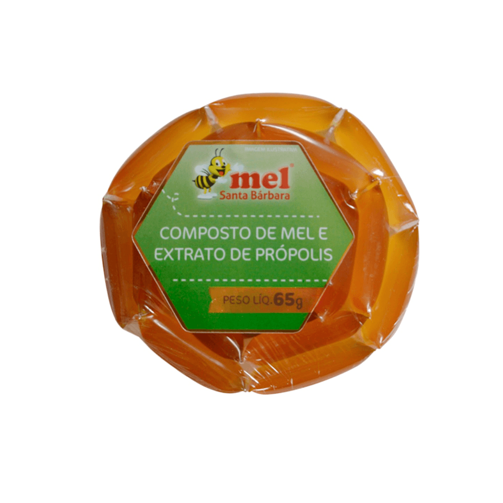 Mel Sache de Propolis Santa Barbara 65g - anossadrogaria